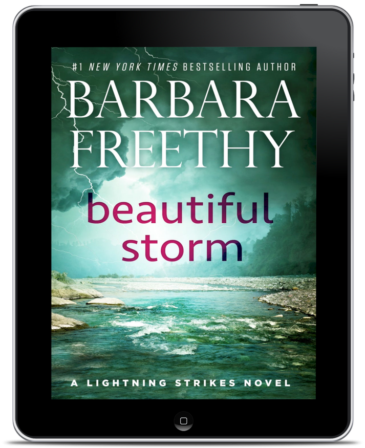 Beautiful Storm – Barbara Freethy Books